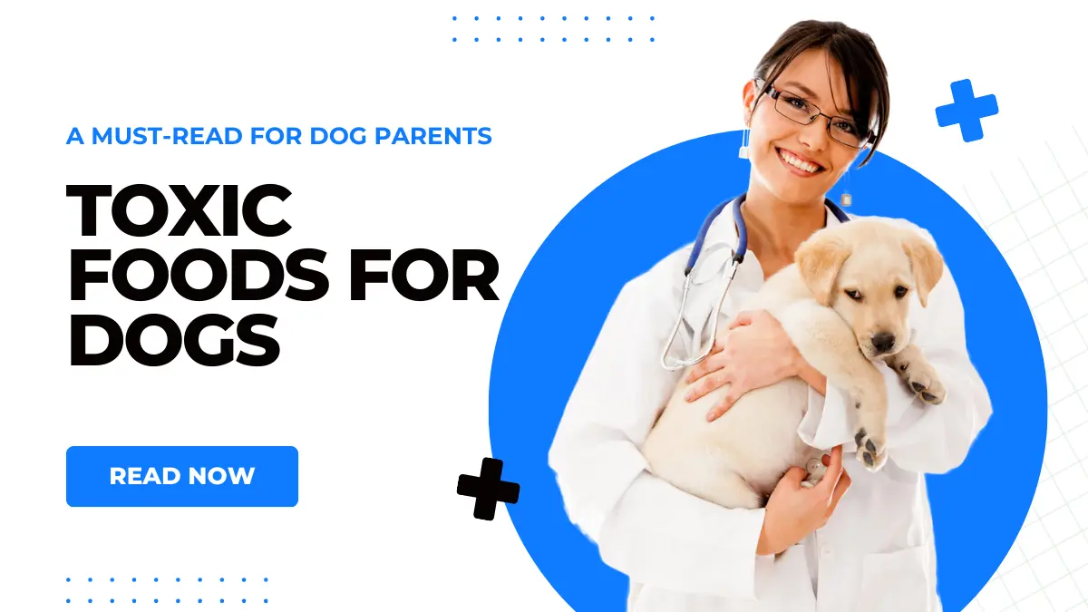 Toxic Foods for Dogs: A Must-Read for Dog Parents